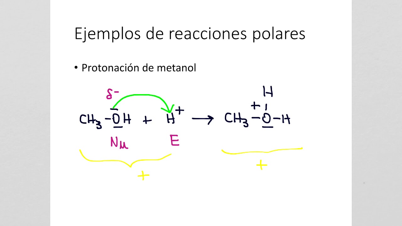 Reacciones polares: adición electrofílica a alquenos - YouTube