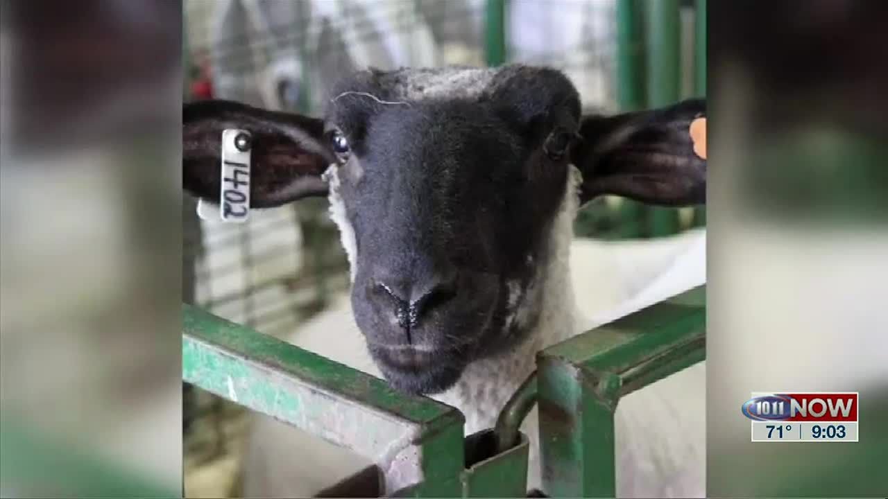 Lancaster County Super Fair gets underway - YouTube