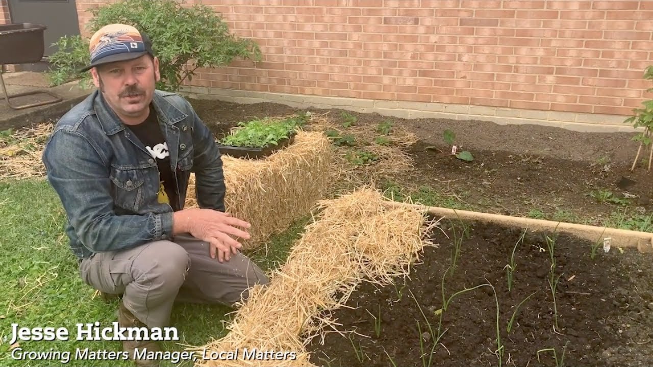 Virtual Gardening with Local Matters: Weed control and pest management ...