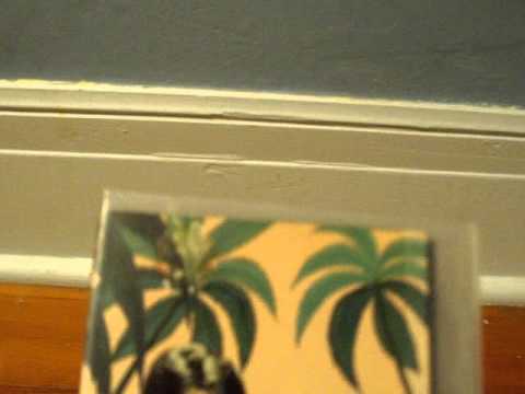 VHS Update 01/15/12 (Part 3)