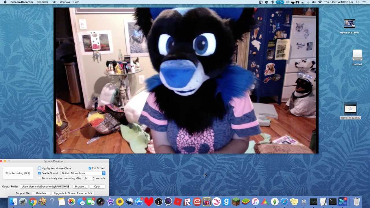 How to put on hand paws tutorial - YouTube