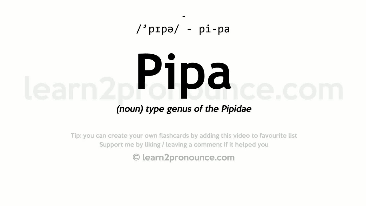 Pronunciation of Pipa | Definition of Pipa - YouTube