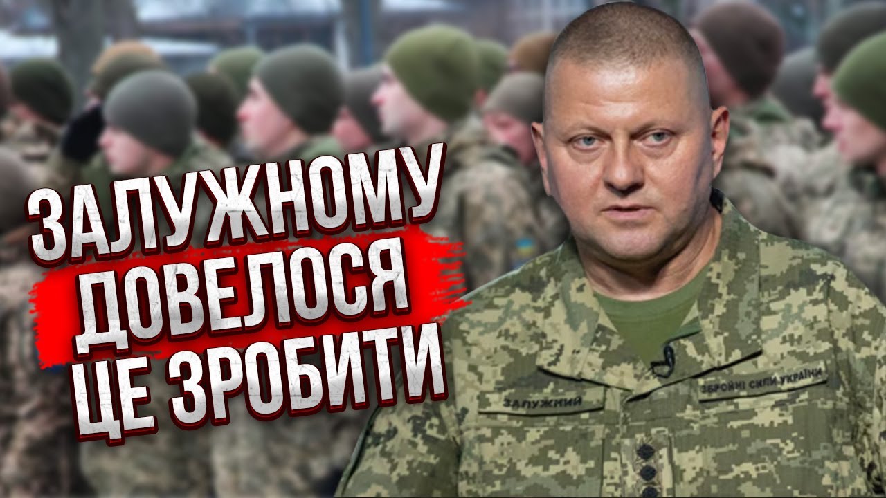 СВІТАН закон про мобілізацію нам НЕ ПОТРІБЕН Є інший шлях Залужному