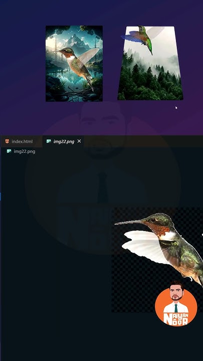 3D Bird Flaying HTML,CSS,JS by Naiyan Noor #coding #naiyannoor #html #css #webdevelopment #code ...