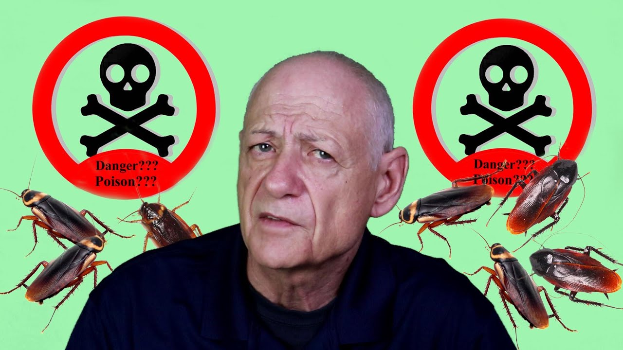 How Dangerous are Pesticides Really? Here is the absolute TRUTH. - YouTube