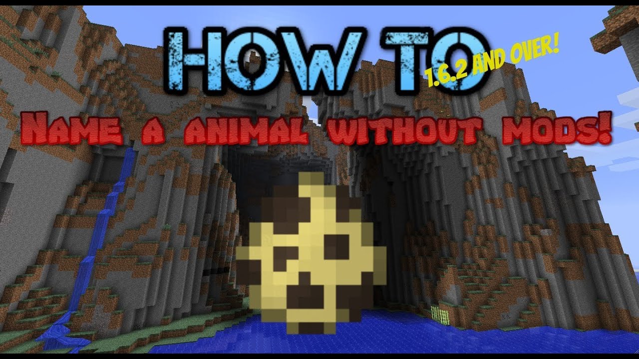 Minecraft how to name a animal without mods in 1.7/1.8/1.9+ - YouTube