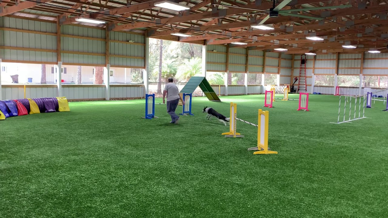 Dobby 109873 Gamblers Course 1 - YouTube