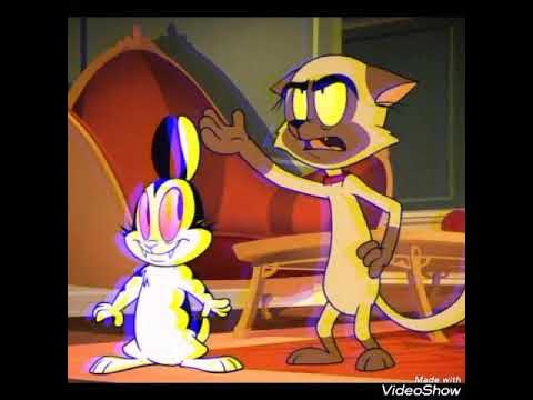 Bunnicula x Chester 🐰 🐱 - YouTube