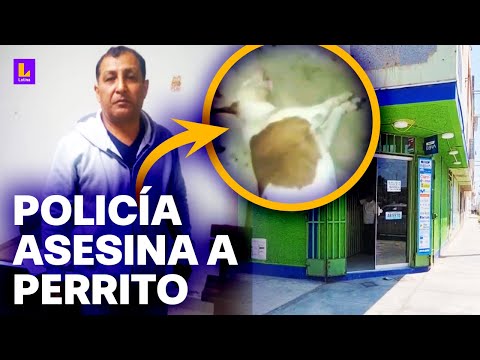 Policía asesina a balazos a perrita Pitbull