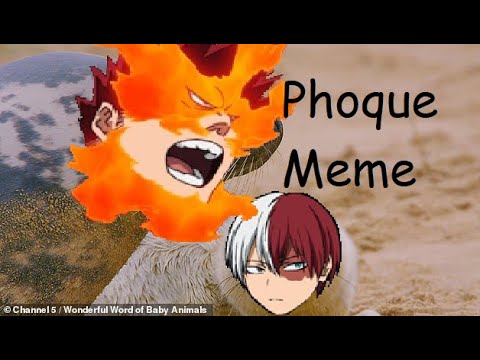 Cute baby phoque//meme//bnha - YouTube
