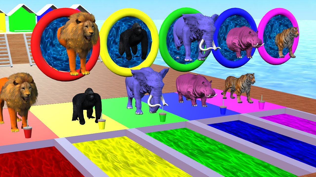 Wild Animals Pool Game jump. elephant bear tiger hippo loin | Swimming ...