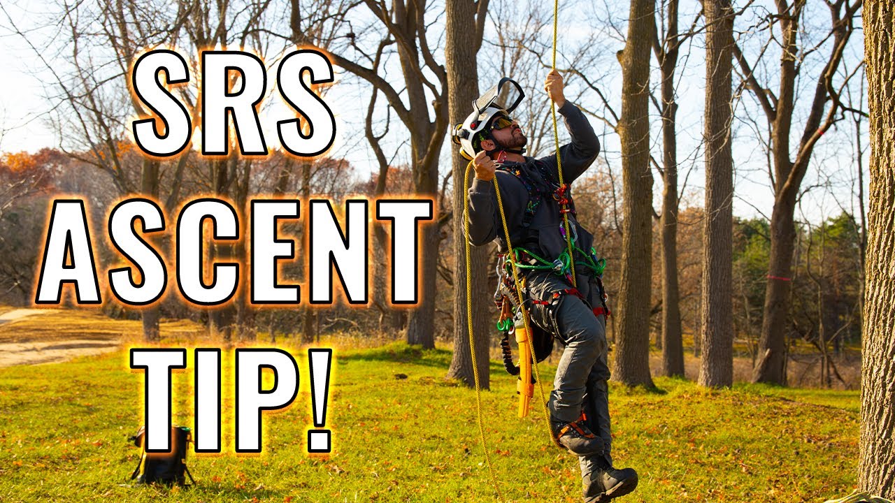 Tree Climbing Tip: Ascent - YouTube