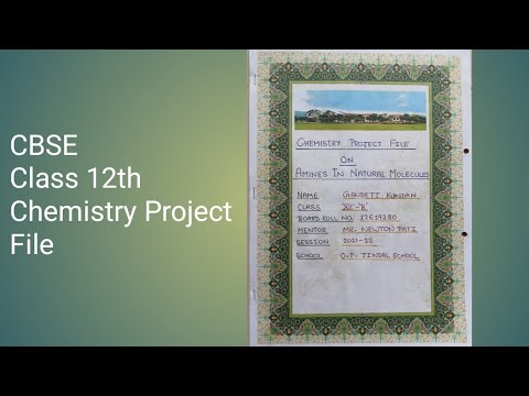 CHEMISTRY CLASS 12TH PROJECT FILE ON AMINES IN NATURAL MOLECULES | FULL ...