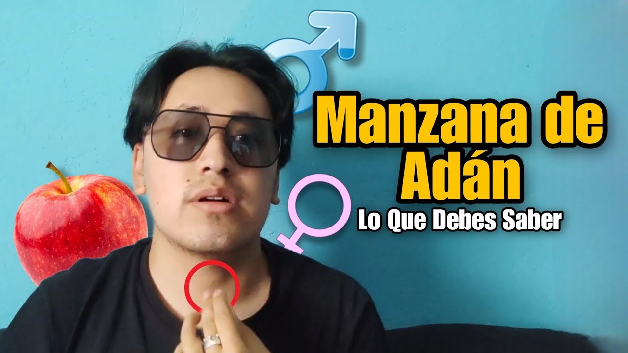 ¿Qué es REALMENTE la Manzana de Adán y Por Qué la Tenemos? - YouTube