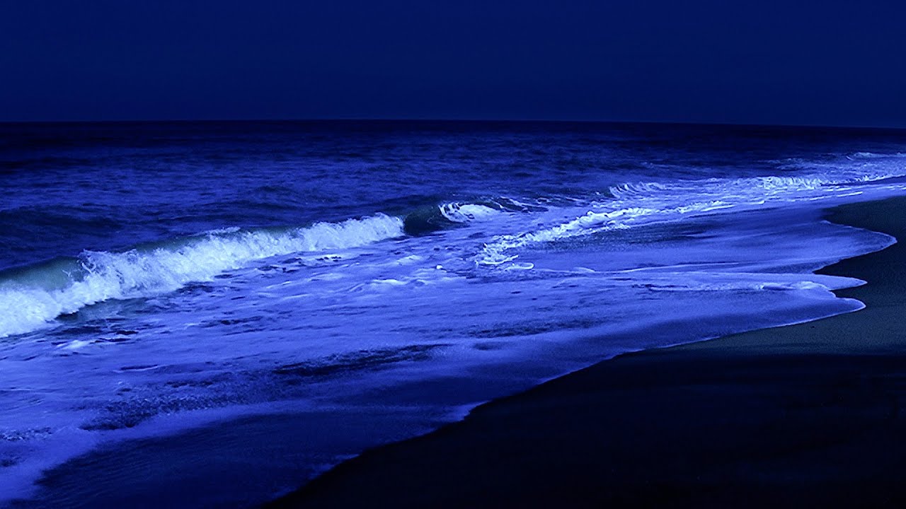 Sleep For 9 Hours with High Quality Stereo Ocean Sounds, Moderate wind ...