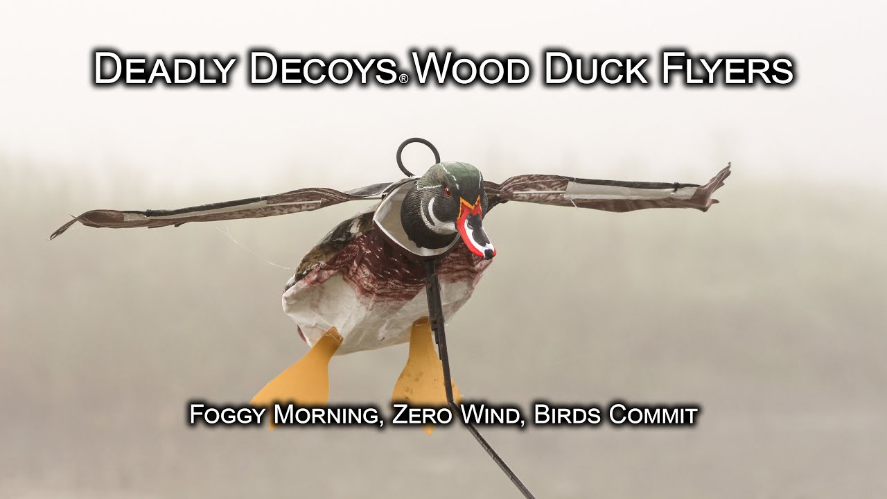 Deadly Decoys® Wood Duck Flyers | Foggy Morning, Zero Wind, Birds ...