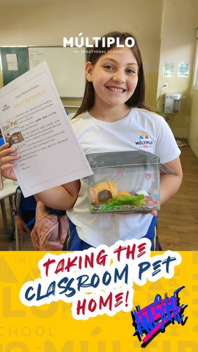 Taking the classroom pet home! - YouTube