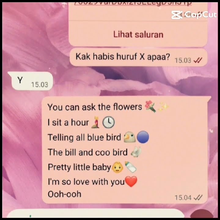 Ver Kakak Sepupu Youtube