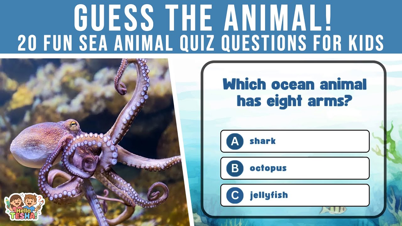 20 Sea Animal Quiz for Kids – Fun Ocean Trivia Game! | What Animal Am I ...