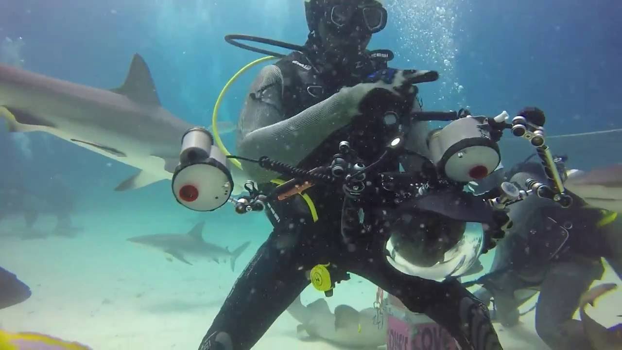 Where is my chainmail shark suit!?! - YouTube