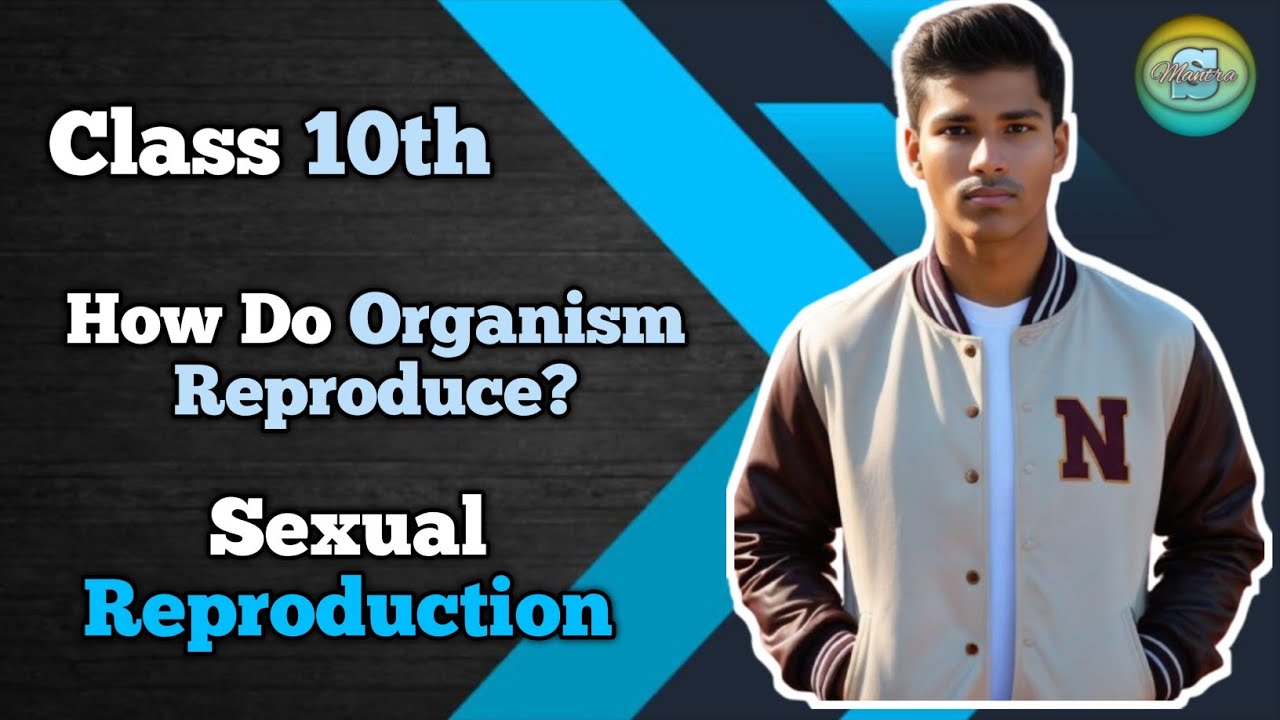 Sexual reproduction || How do organism reproduce? ||Biology|| class ...