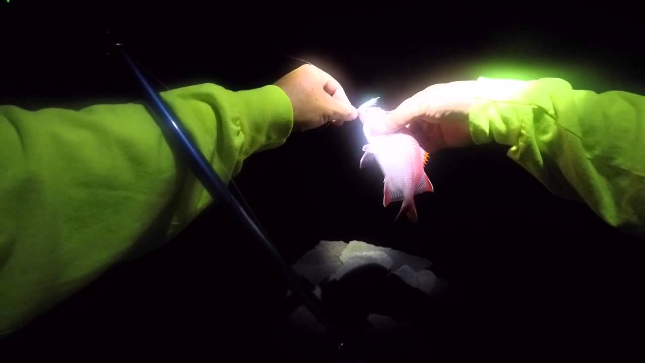 Menpachi And Aweoweo Fishing Big Island Hawaii - YouTube