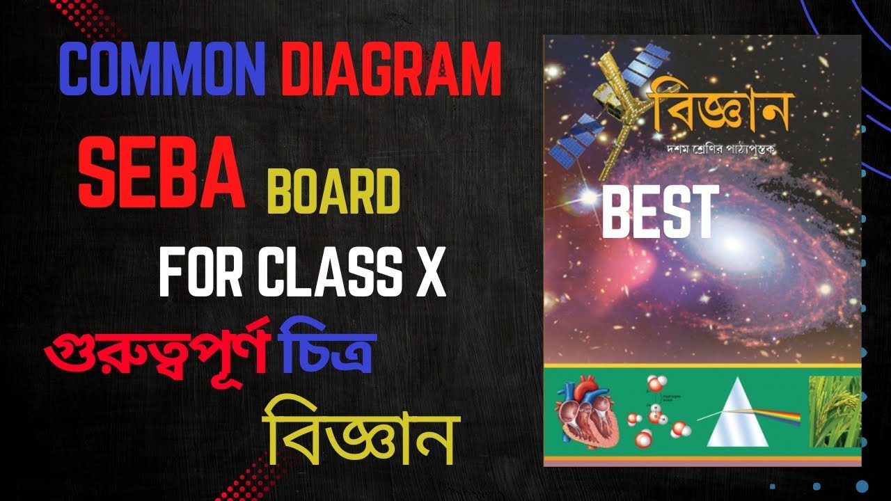 Class 10 seba board important Science diagram #assamboard - YouTube