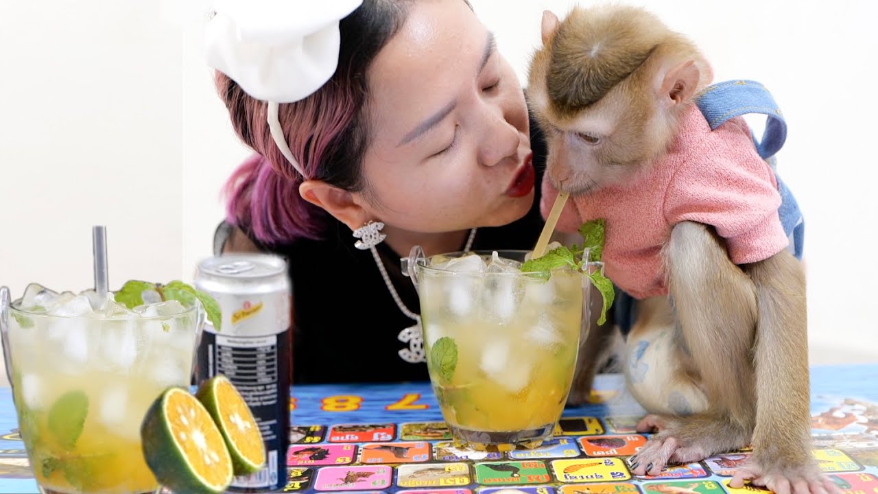 Baby Monkey | Mom Make Orange Mojito Drink For DouDou - YouTube