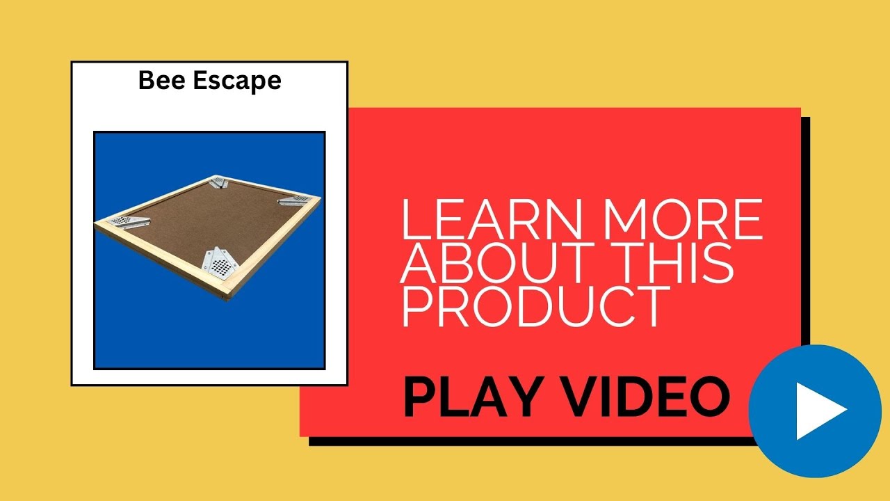 What is a Bee Escape??? - YouTube