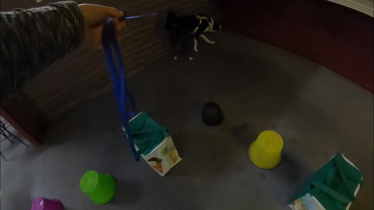 2B Excellent containers June22 - YouTube