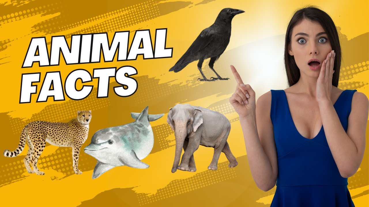 Facts | Animal Facts You Won't Believe Are True | Did You Know? - YouTube