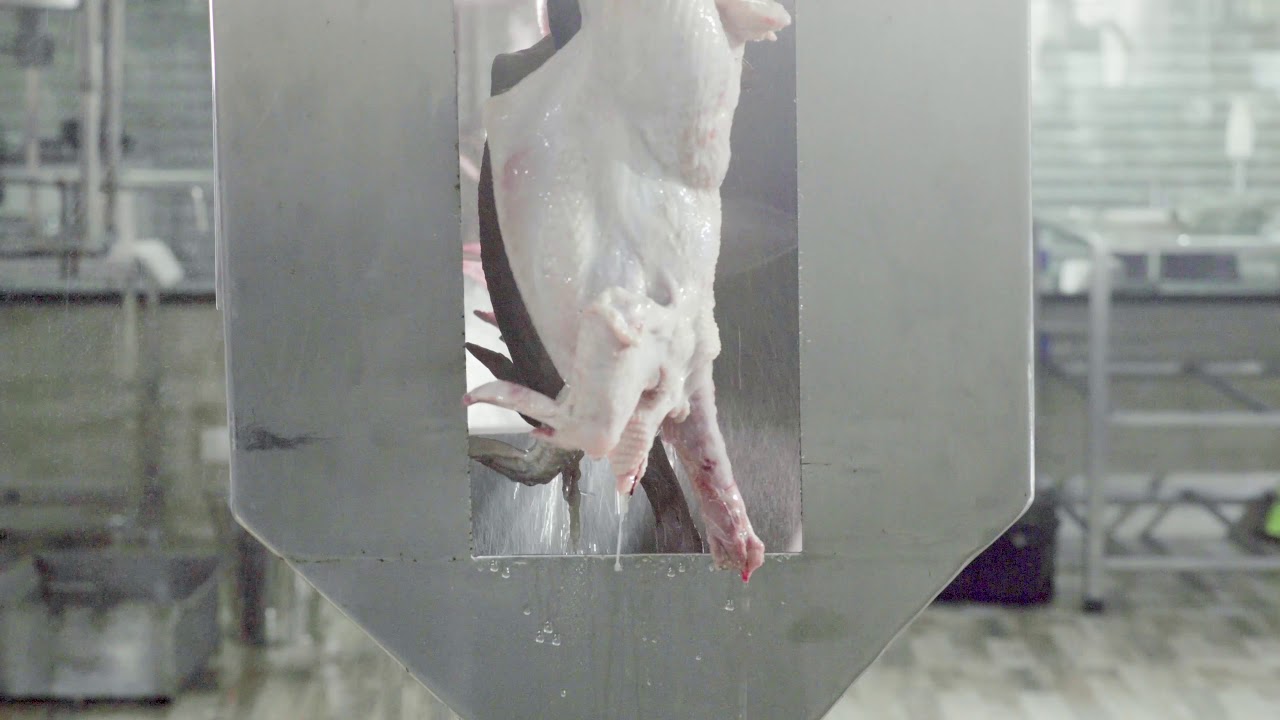 Butcher's shop intro clip - YouTube