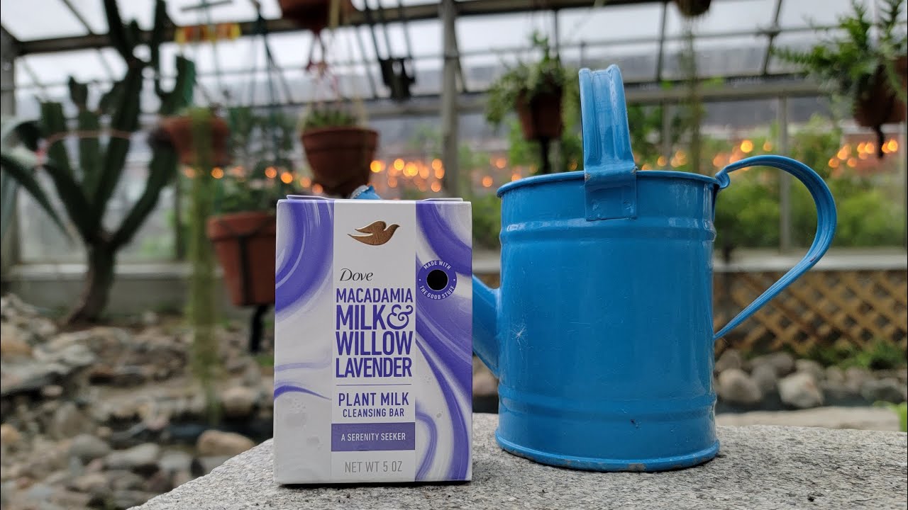 Dove macadamia milk & willow lavender plant milk cleansing bar - YouTube