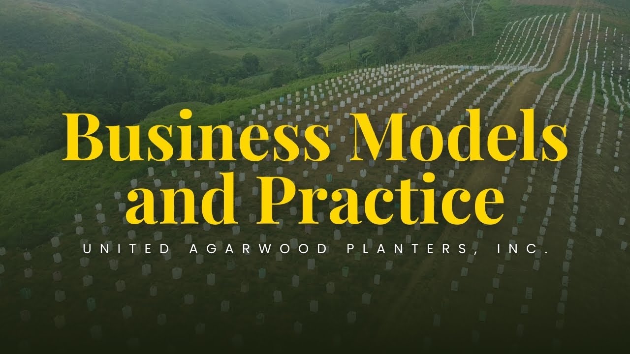 UAPI Business Model and Practice - YouTube