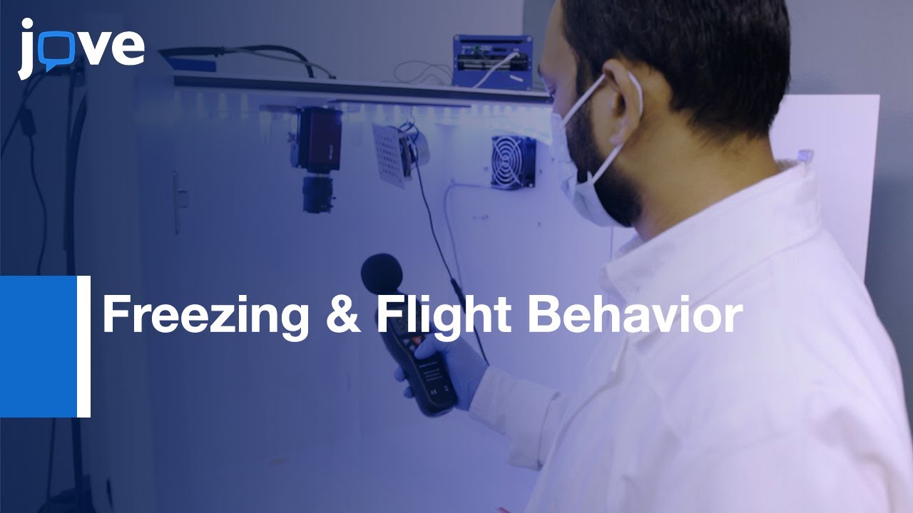 Novel Pavlovian Fear Conditioning Paradigm To Study Freezing & Flight ...