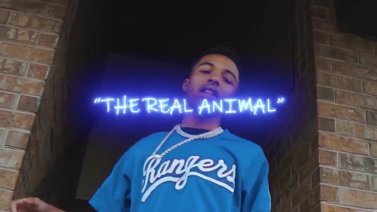 The Animal remix - YouTube