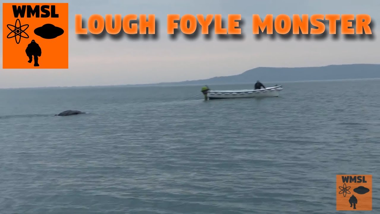 Weird Monster of Lough Foyle Caught on Camera - YouTube