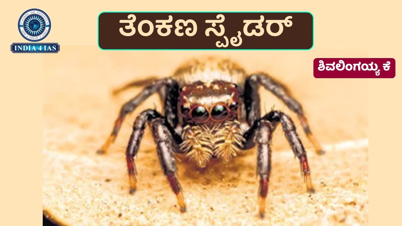 New genus of jumping spiders ‘Tenkana’ discovered in South India ...