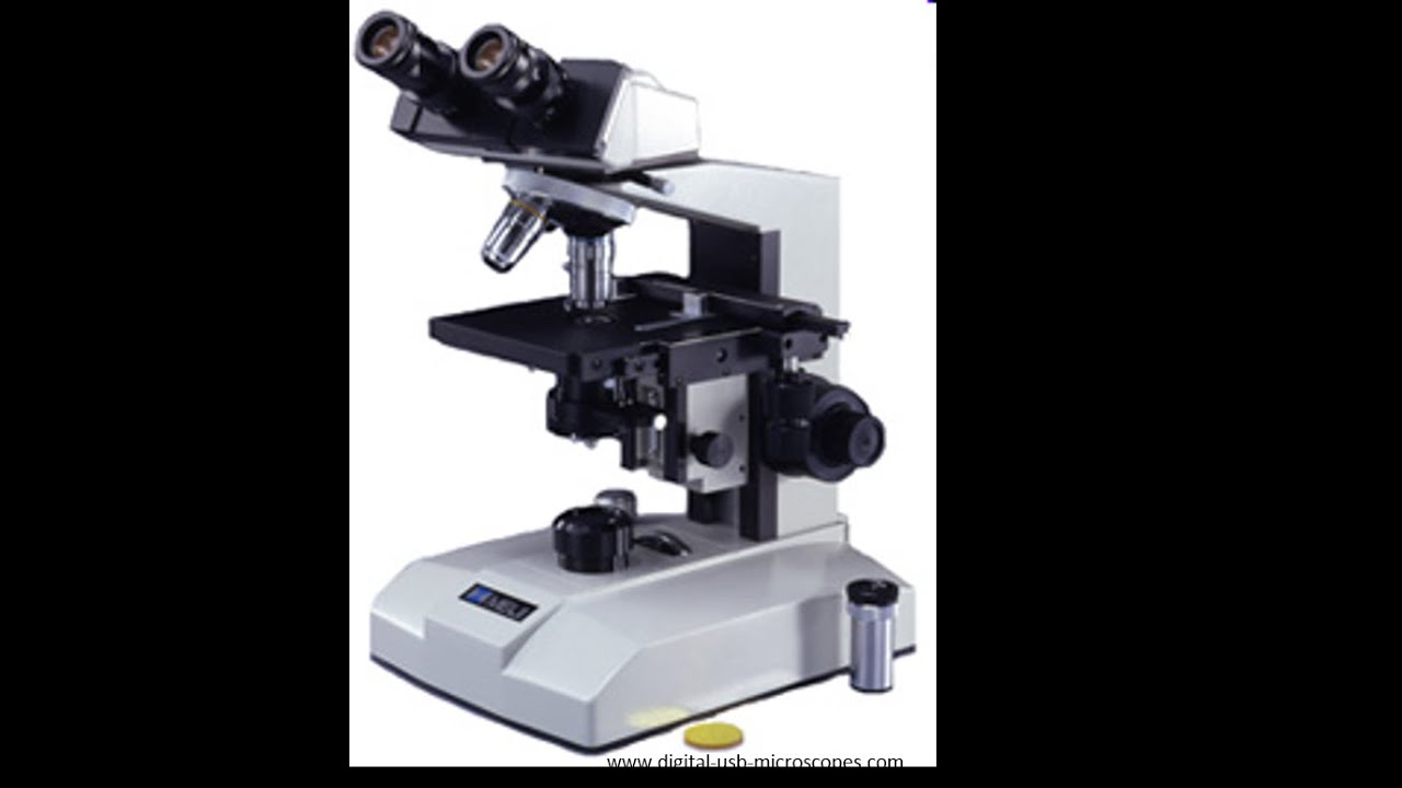 Micro Lesson 3: Cell Characteristics, Properties of Light, Microscopy ...