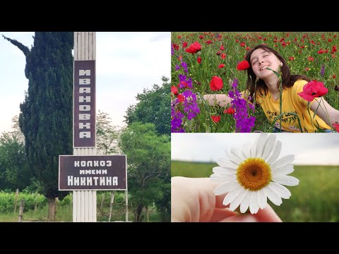 Ivanovka village and poppy field in Ismayilli | May 2021