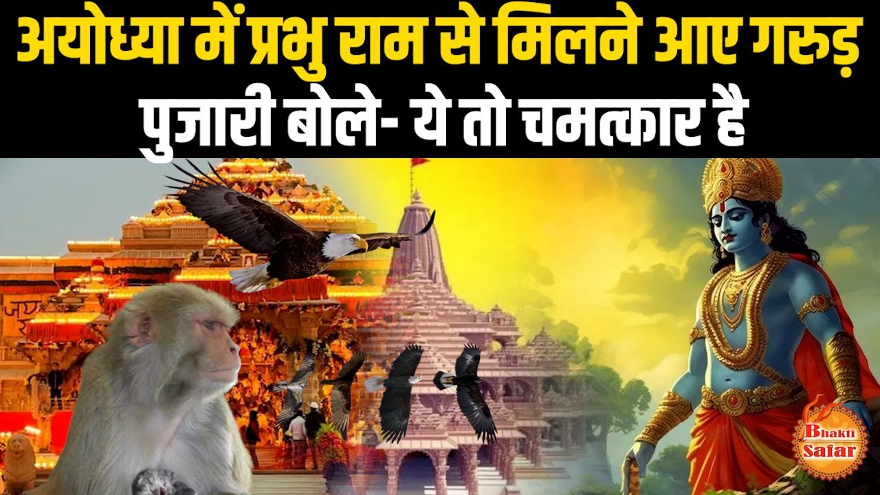 Garuda came to meet Lord Ram in Ayodhya | The Priest Said - This is a ...
