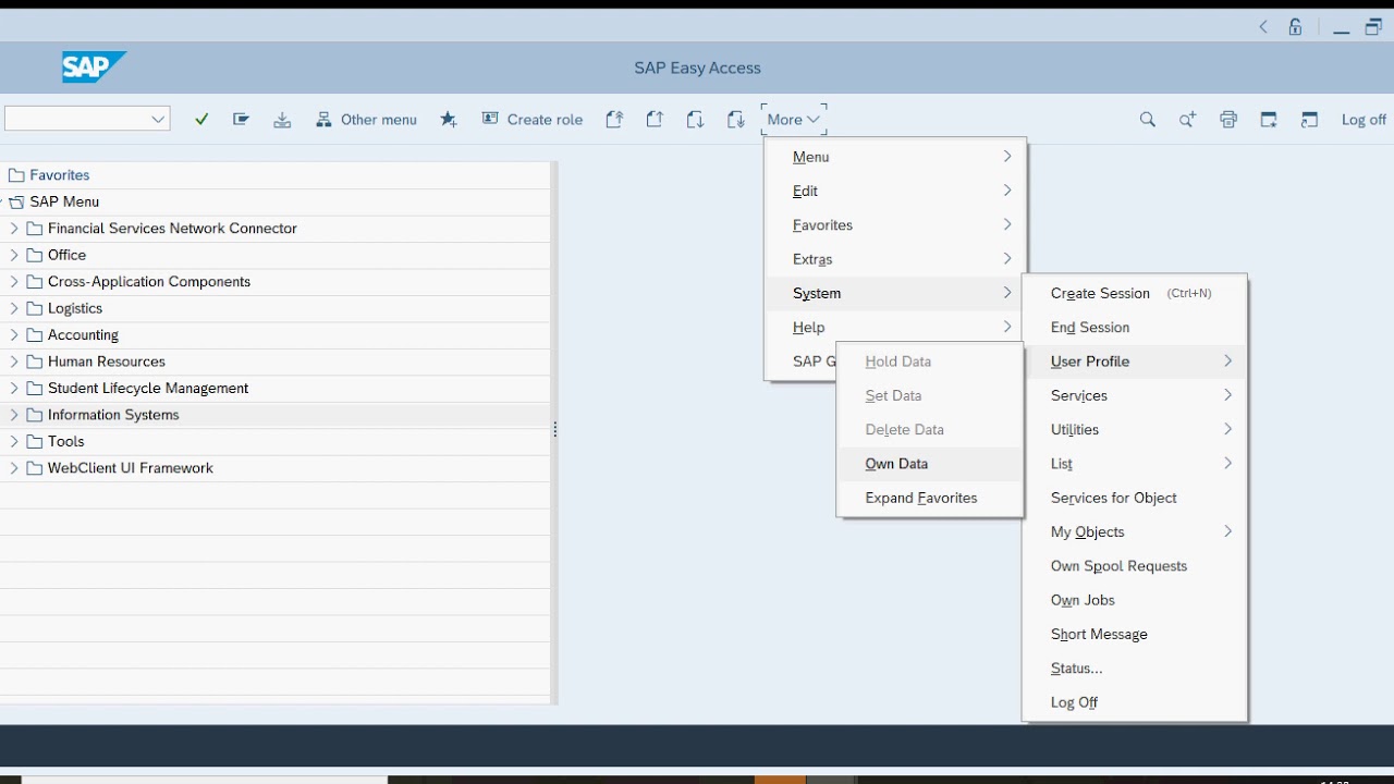 Tutorial SAP01 Exercise 2-1 task 2 - YouTube