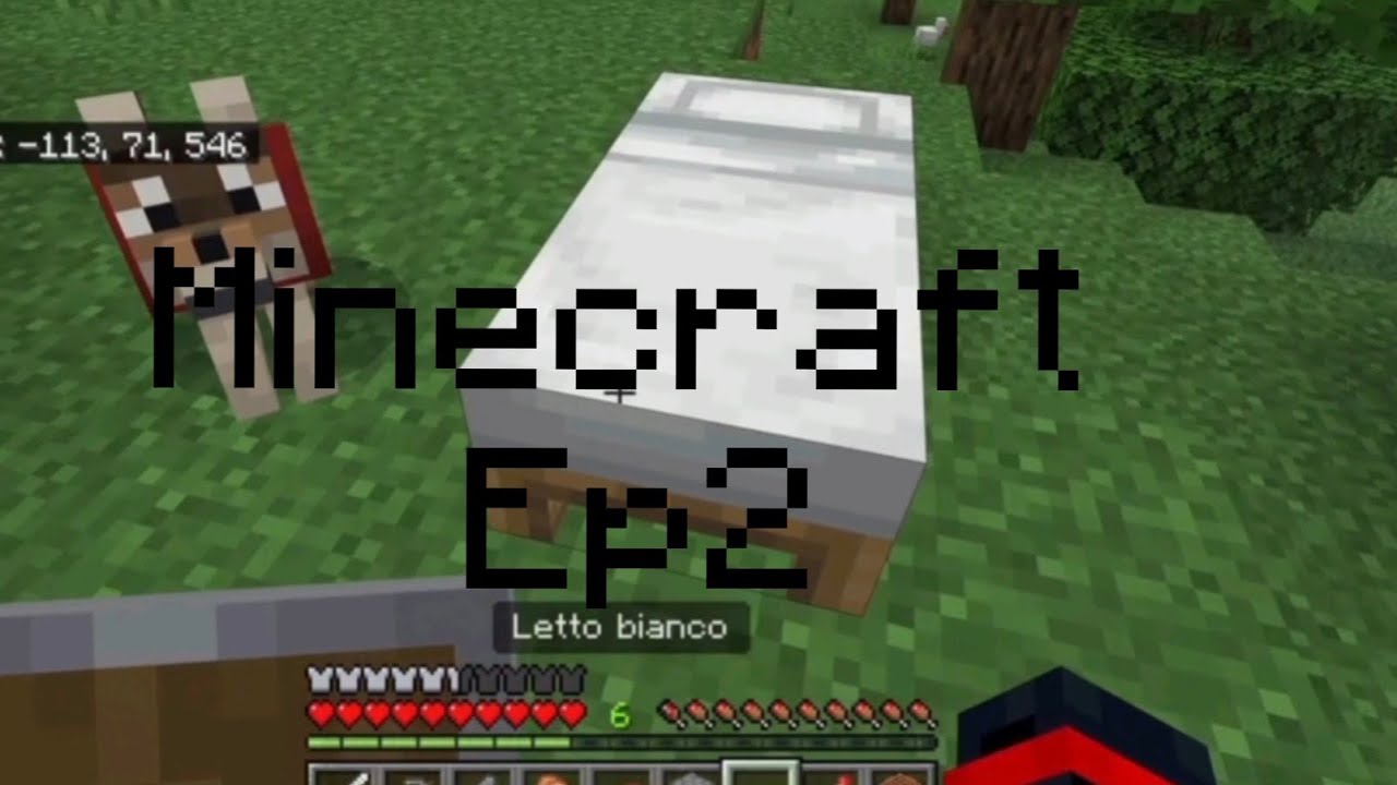 OGGI IL MONDO NON VOLEVA CHE REGISTRAVO STO VIDIEO|Ep 2 Minecraft - YouTube