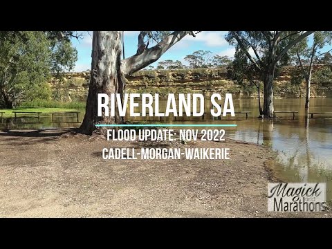 Murray River Flooding Update - November 2022 - Cadell-Morgan-Waikerie ...