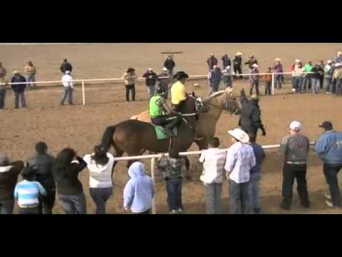 New Project 66 - Medium