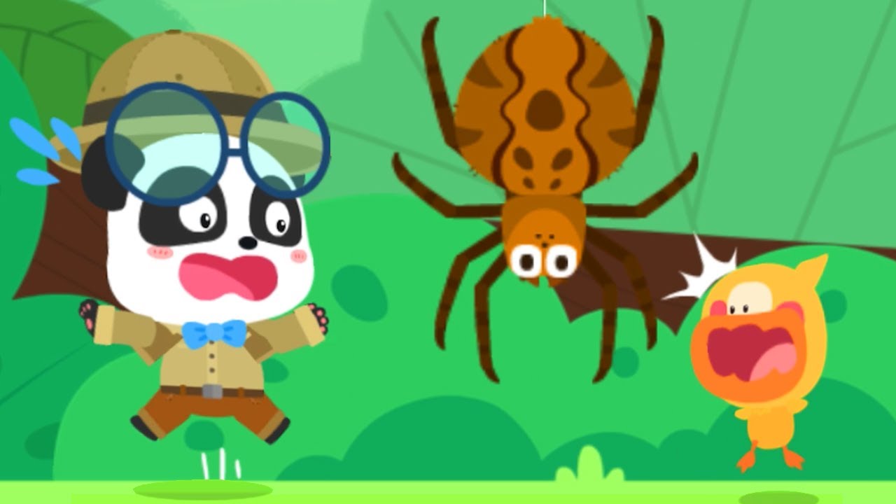 Little Panda's Animals: Spiders - Join Kiki and Learn About Life of ...