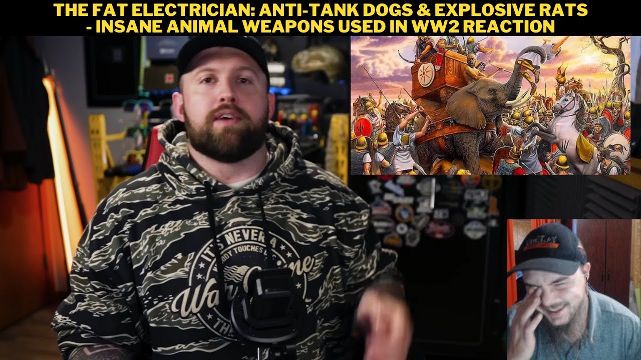 The Fat Electrician: Anti-Tank Dogs & Explosive Rats - Insane Animal ...