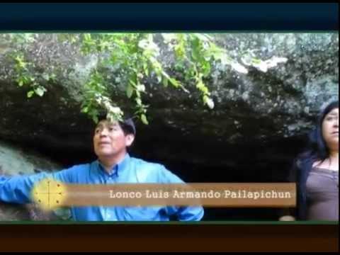 NGEN : Espíritus de la Naturaleza presentes en la Cosmovisión Mapuche ...