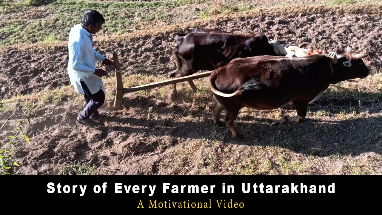 Farming in Uttarakhand | Uttarakhand Farming | Uttarakhand Farmers ...