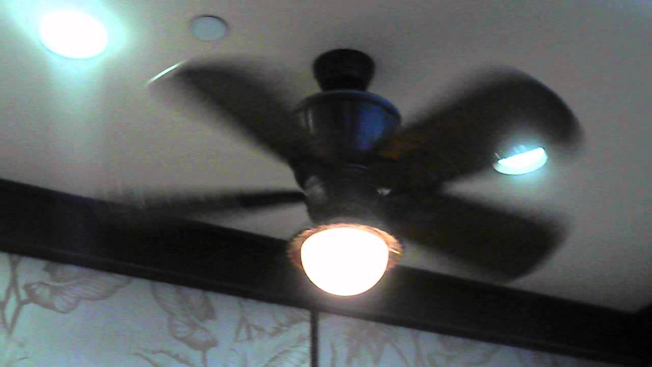 Fanimation Sandella ceiling fan - YouTube
